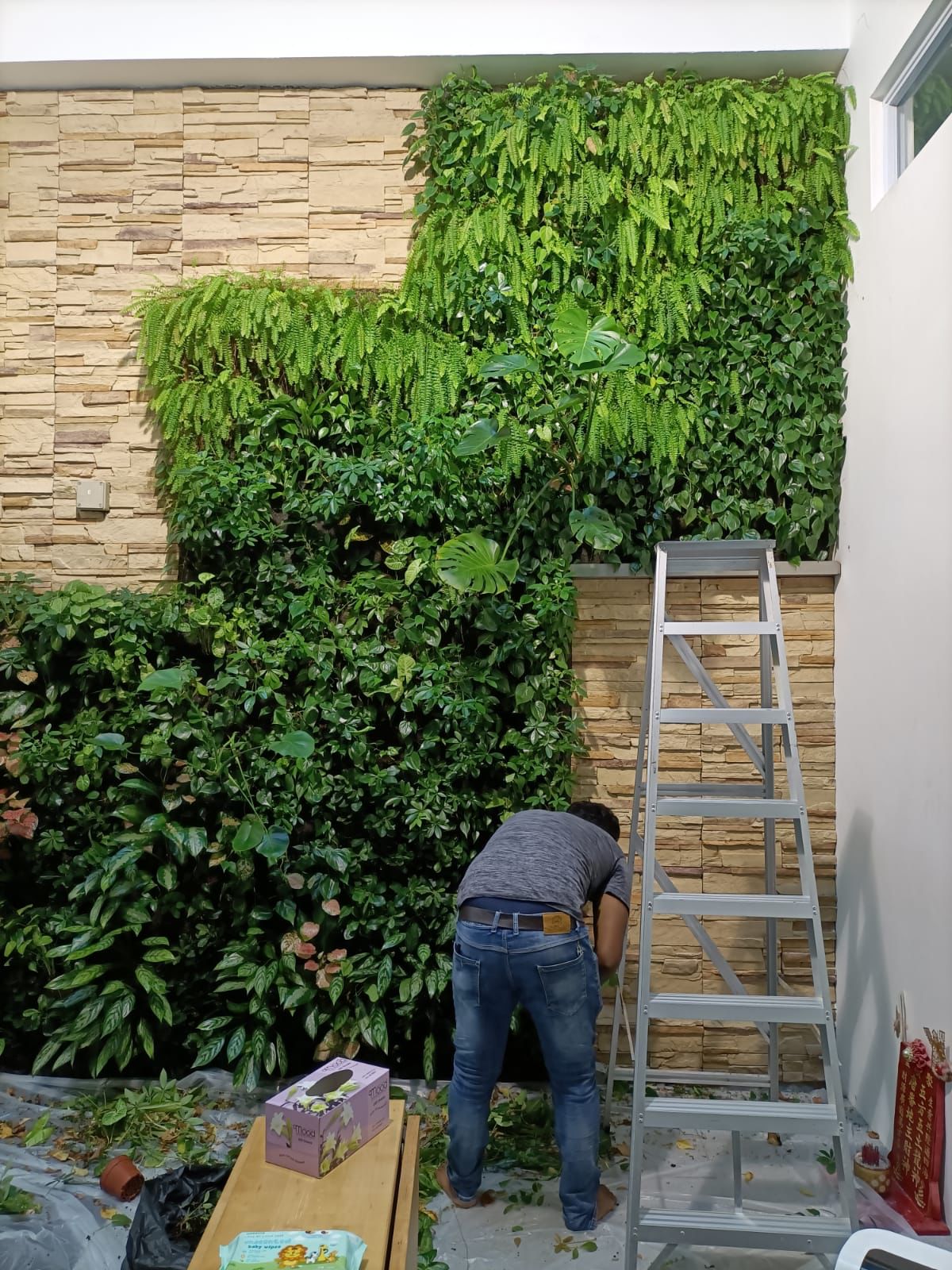 Season Landscape – Sustainable green landscaping
